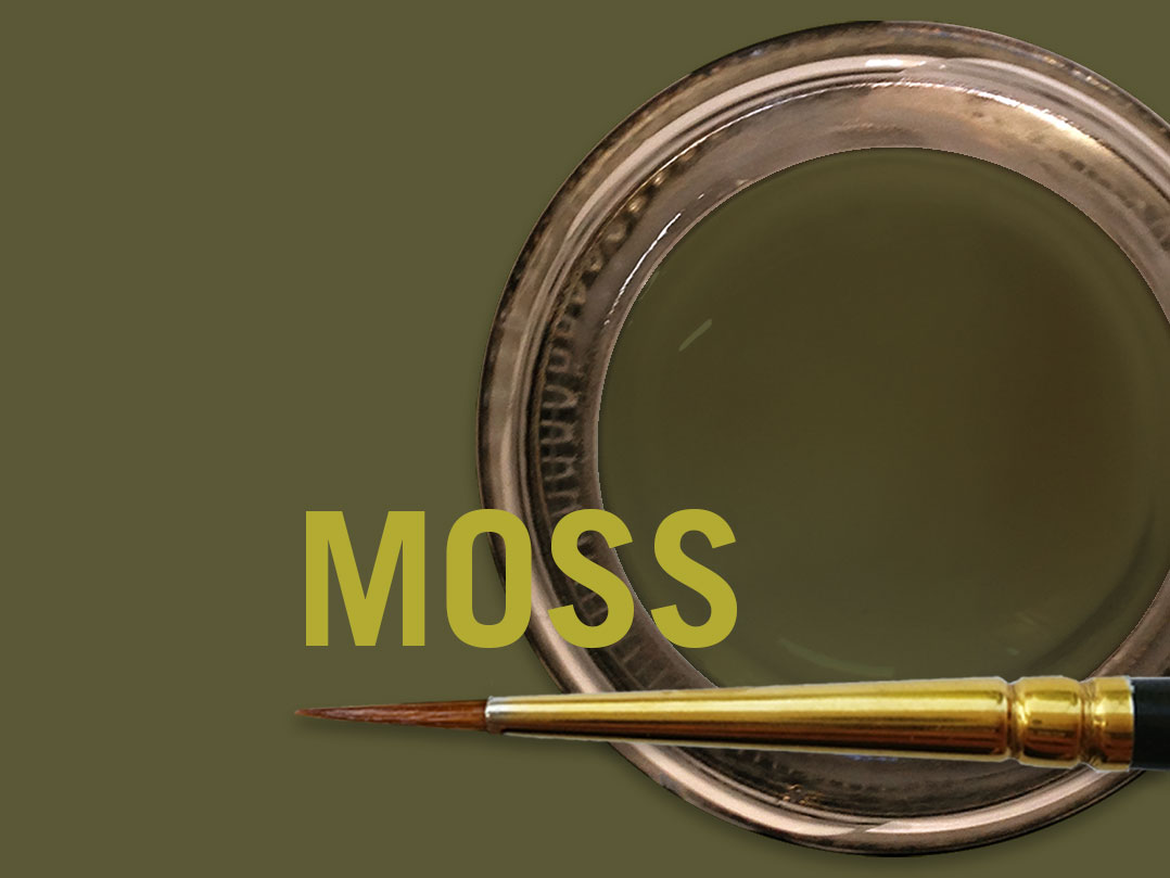MIYO STAIN MOSS FLOUR PASTE 4G - AGC New Dent